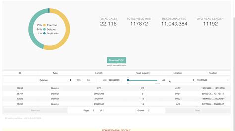 Epi2me Sv Caller Workflow Real Time Identification Of Human Structural