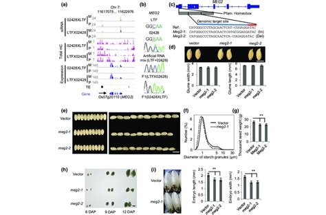 Expression And Clustered Regularly Interspaced Short Palindromic Download Scientific Diagram