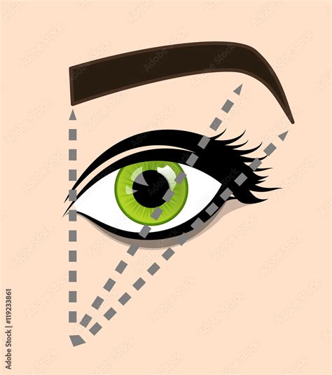 The Scheme Of Ideal Proportions Eyebrows And Eyes Tutorial How To Shape The Eyebrow On Face