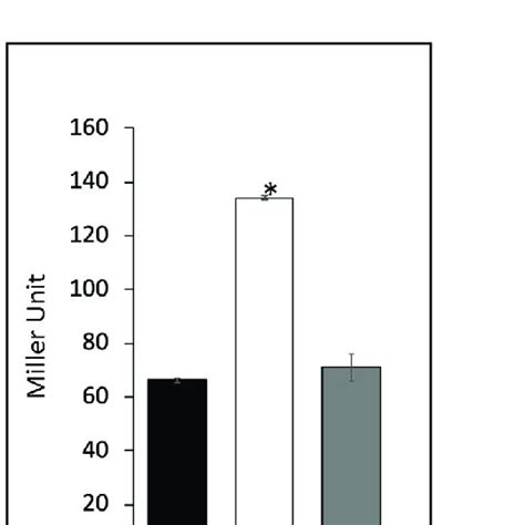 Translation Efficiency Measurement With A Reporter Strain The Reporter