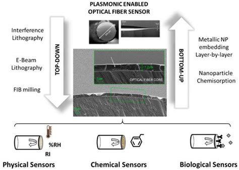 Lspr Optical Fiber Sensors Encyclopedia Mdpi