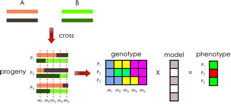 Algorithms Special Issue Algorithms For Sequence Analysis And Storage