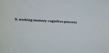 Answered Working Memory Cognitive Process Bartleby