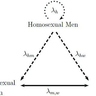 Triangle Transmission In Sexual Preferences Homosexual Men And Download Scientific Diagram