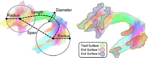 Diffusion Models And Metrics Practicum