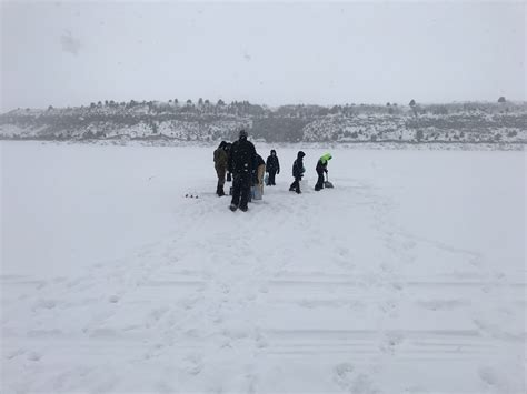 Test Quizlet Diagram Quizlet