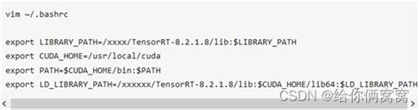 tensorrt干货总结 trtexec latency enqueue csdn博客