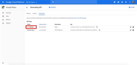 Google Maps API Key Hot Themes
