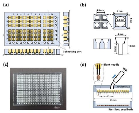Configuration Of A 384 Well Type Plant Array Chip That Was Fabricated Download Scientific