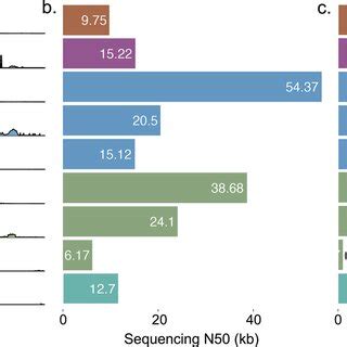 DNA Fragment Length Predicted Read Length And Assembly Contiguity From Download Scientific