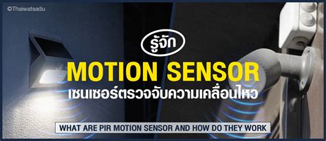 What Is PIR Motion Sensor And How Do They Work THAI WATSADU