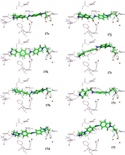Docking Poses And Interactions Of Compounds 17b D E H J R T Inside The