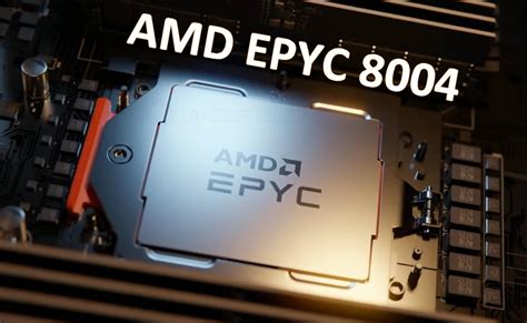 Amd Siena Cpus For Sp6 Platform To Launch Under Epyc 8004 Branding Up To 64 Zen 4 Cores
