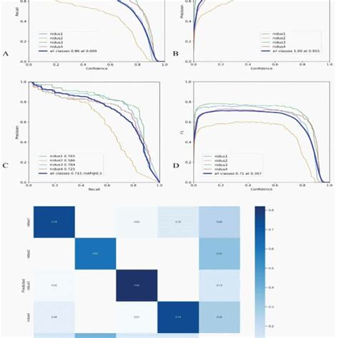 the improved strategy yolov5 download scientific diagram