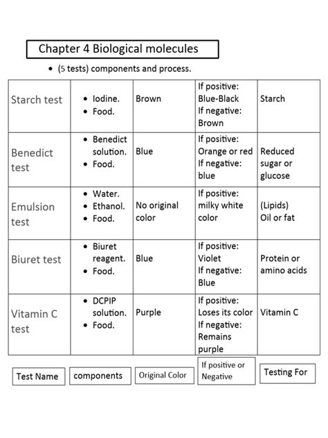 Chapter 4 Biological Molecules Pdf