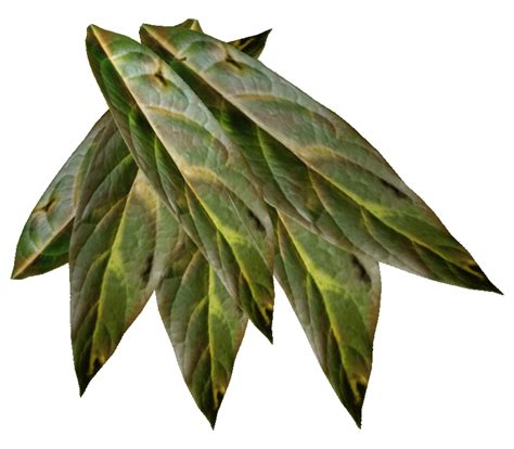 Табак PNG