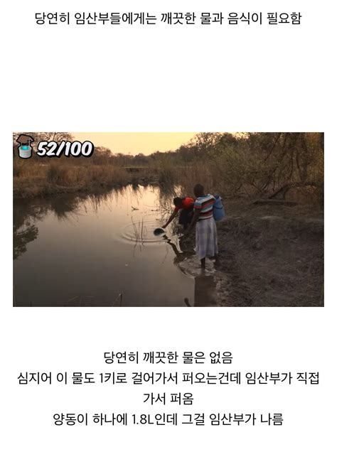 더쿠 세계 유튜버 1위 미스터 비스트 근황 