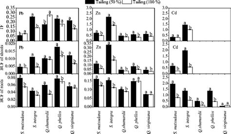 Translocation Factor Tf And Bioconcentration Factors Bcf Of Pb Zn Download Scientific