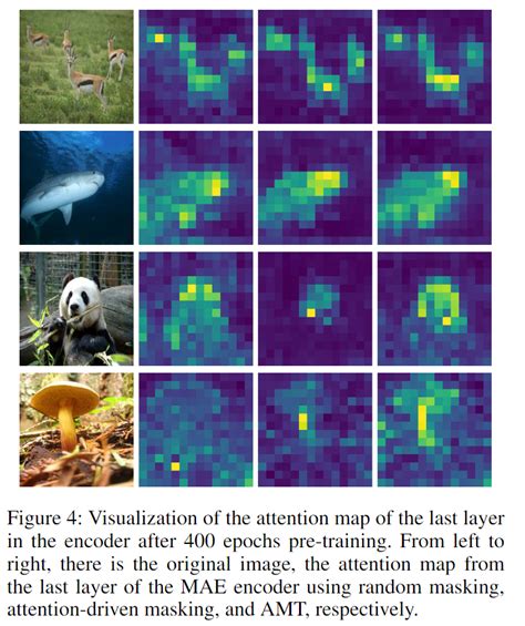 Could The Author Provide The Visual Code Issue 3 Guijiejie AMT GitHub