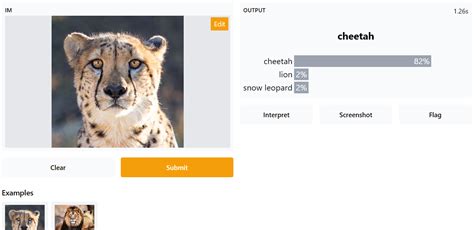 Gradio Image Classifier Main At Main