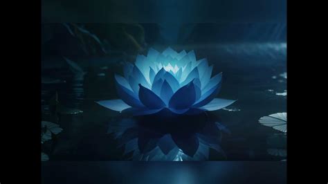 가슴이 울어 장민호 Youtube