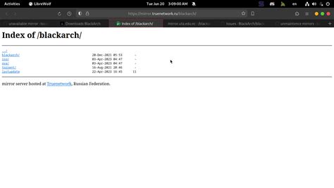 Unavailable Mirror · Issue 3861 · Blackarchblackarch · Github