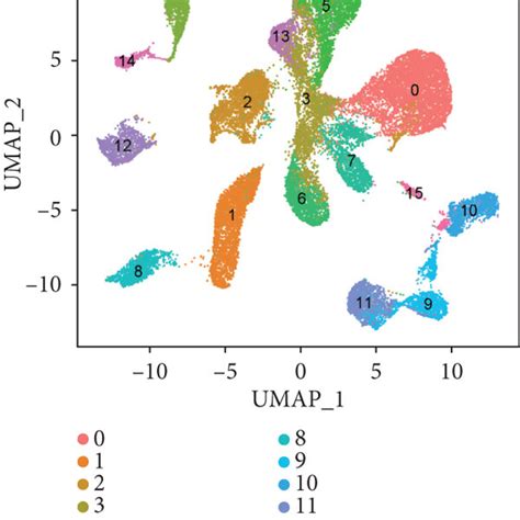 Definition Of Cell Groupings A Clustering Map Of Single Cell At 03