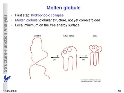 Ppt Dna Protein Structure Function Analysis And Prediction Powerpoint