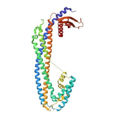 Rcsb Pdb 7zet Crystal Structure Of Human Clusterin Crystal Form I