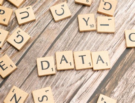 understanding the five levels of data literacy in organizations