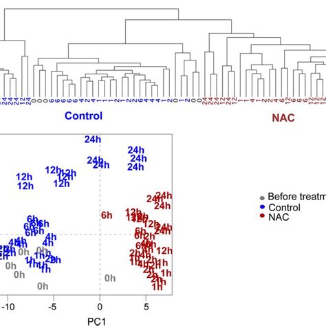Hierarchical Clustering Analysis A And Principal Component Analysis