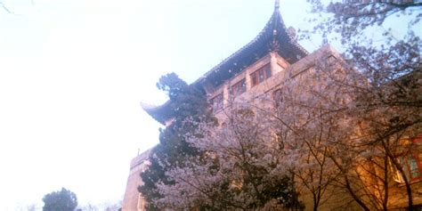 GitHub Covid19readings Articles From China
