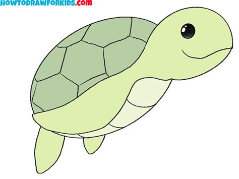 How To Draw A Sea Turtle Cartoon At Rocio Wilds Blog