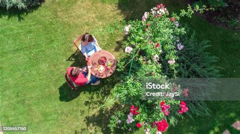 로맨틱 한 데이트에 아름다운 장미 정원에서 음식과 와인을 즐기는 젊은 부부 공원에서 야외에서 함께 먹고 마시는 남자와 여자의 위에서 공중 최고보기 2명에 대한 스톡 사진 및