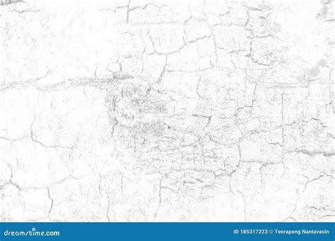 White Tree Bark Texture Background Stock Image Image Of Dirty Backgrounds 185317223