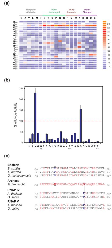 High Throughput Mutagenesis Of The Bridge Helix A The Specific Download Scientific Diagram