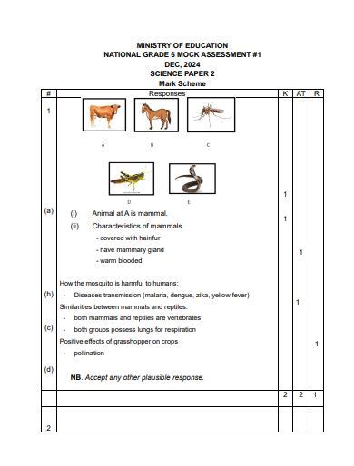 Dec2024 Grade 6 Marking Scheme Mock Assement 1 Science 2