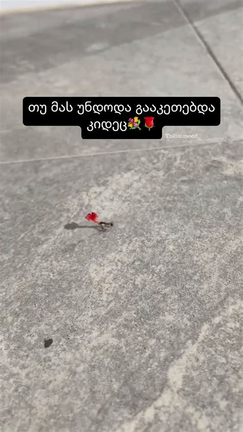 T Shop ყვავილების მაღაზია🌸🌹 ჭიანჭველამ არ უნდა გაჯობოთ😂 თაიგულის შესაკვეთად მოგვწერეთ♥️💌