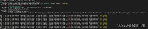 【k8s】三、k8s集群的初始化here Is One Example How You May List All Running K Csdn博客