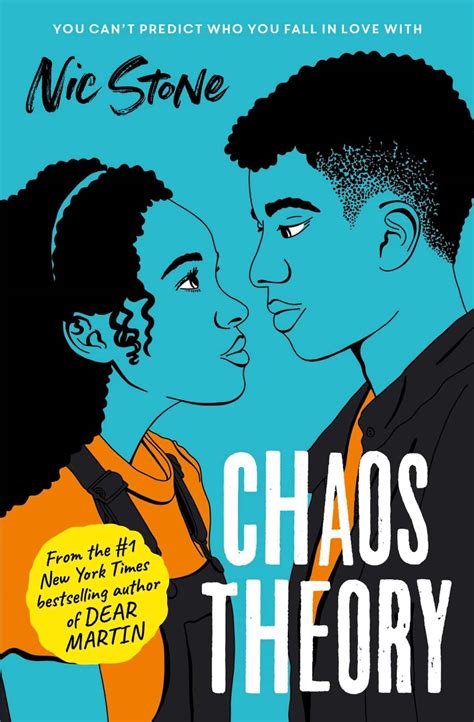 chaos theory nic stone so many pages