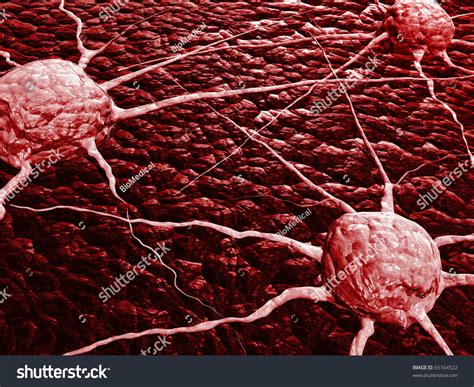 암세포 스톡 일러스트 65164522 Shutterstock