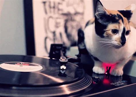 To Scratch Or Not To Scratch Techniques And Tips At Digital DJ Pool