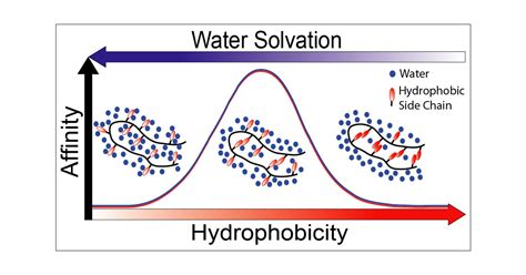 Tuning Hydrophobicity In Abiotic Affinity Reagents Polymer Hydrogel