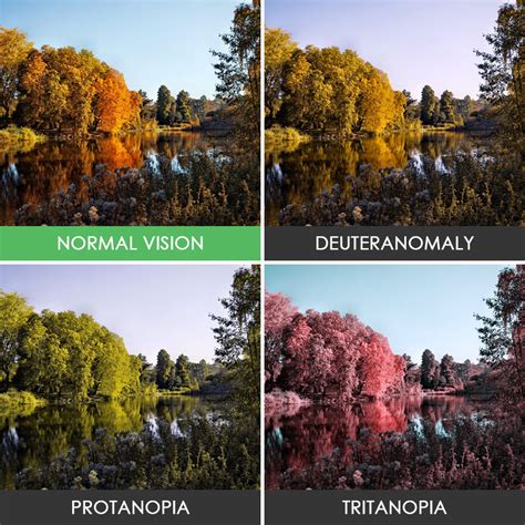 Youll Be Amazed How People With Color Blindness See The World 57 Pics