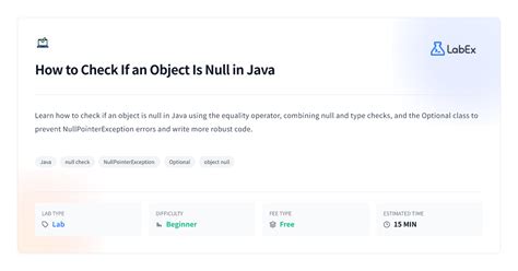 how to check if an object is null in java labex