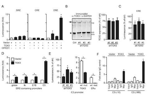 TOX3 Induces Transcription From Estrogen Responsive Promoters A TOX3 Download Scientific