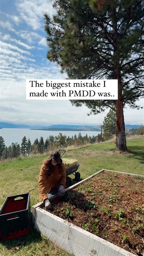 Functional Lab Testing Her Mood Mentor