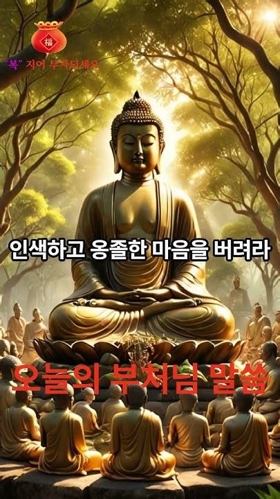 부처님말씀210마음공부부처님명언부처님의지혜부처님이야기부처님가르침불교진리의말씀좋은글부처인생조언마음공부삶의지혜명언shorts Youtube