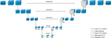 our u net structure in the case of a 64 × 64 × 64 local patch the