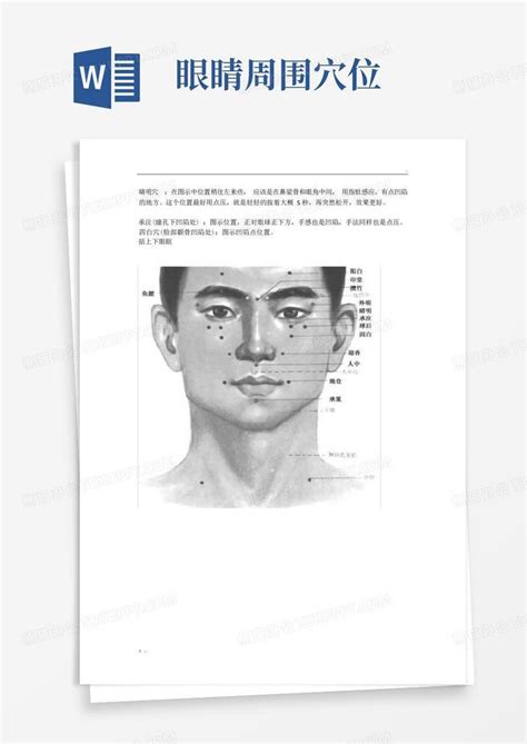 眼睛周围穴位word模板下载 编号lwedjaem 熊猫办公